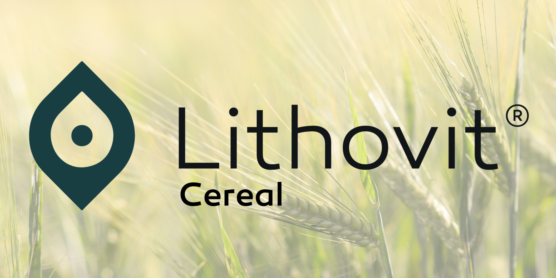 Tribodyn GmbH | Blatt- und Bodendünger Lithovit - Specially for one ...